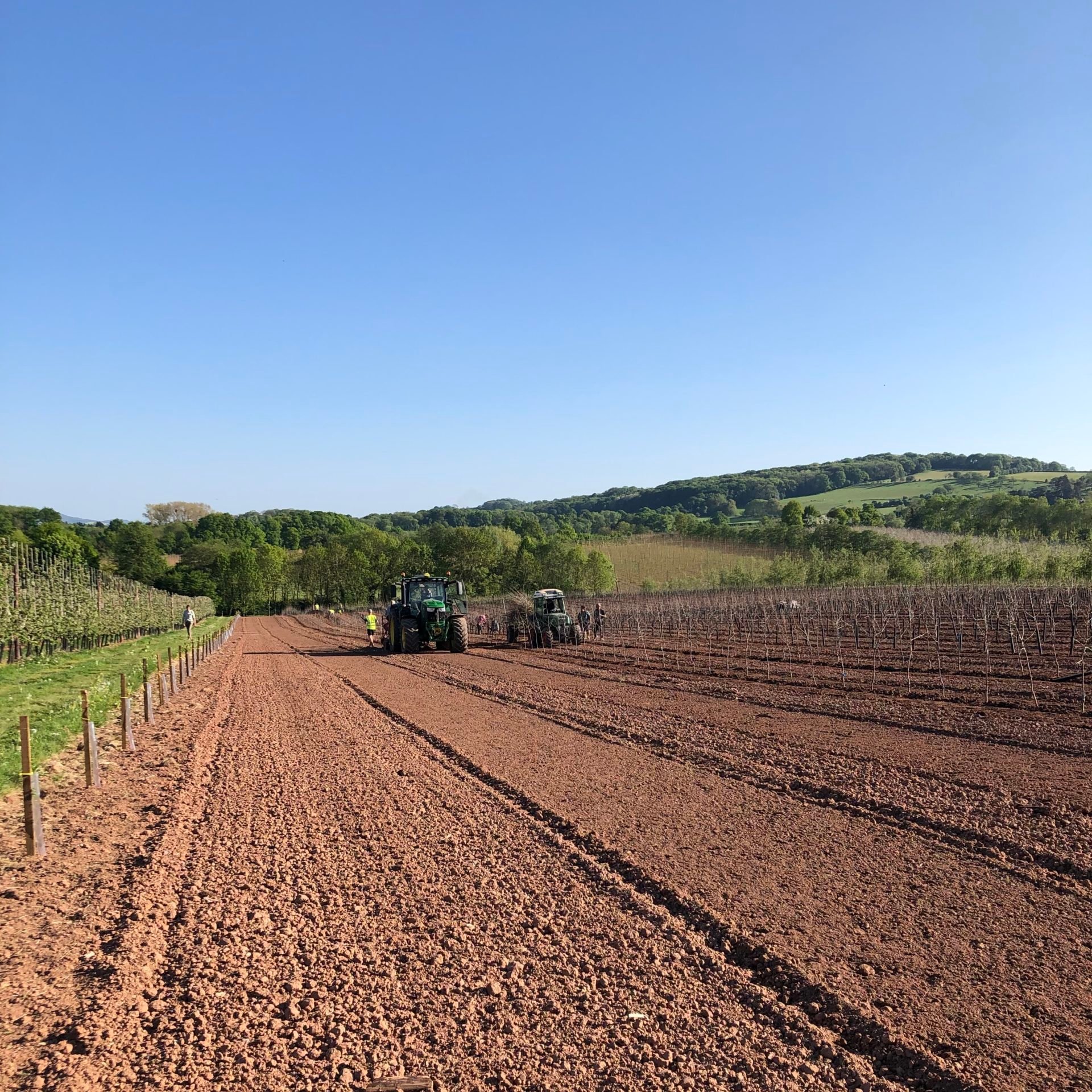 Precision Planting for Stocks Farm Apples - Stocks Farm