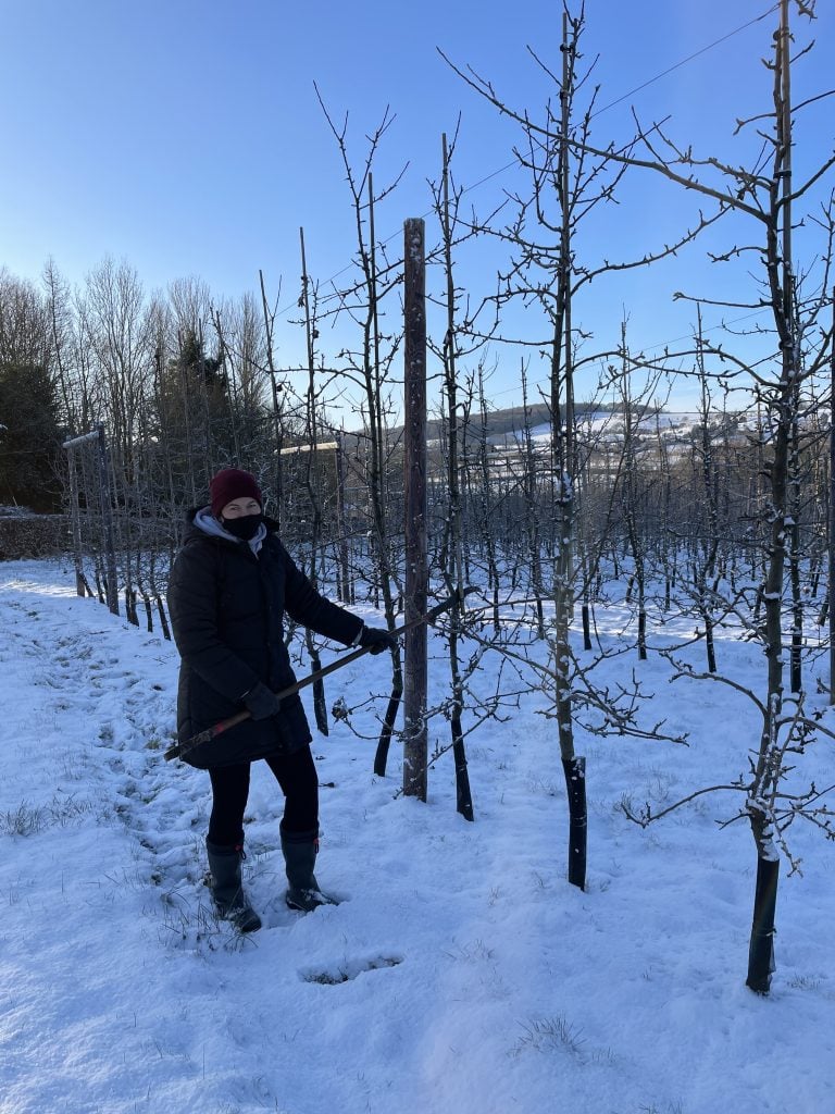 Tree Grafting - Stocks Farm